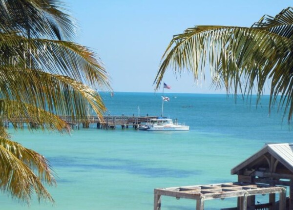 What Is The Prospera Hispanic Business Initiative Fund? - Commercial ...