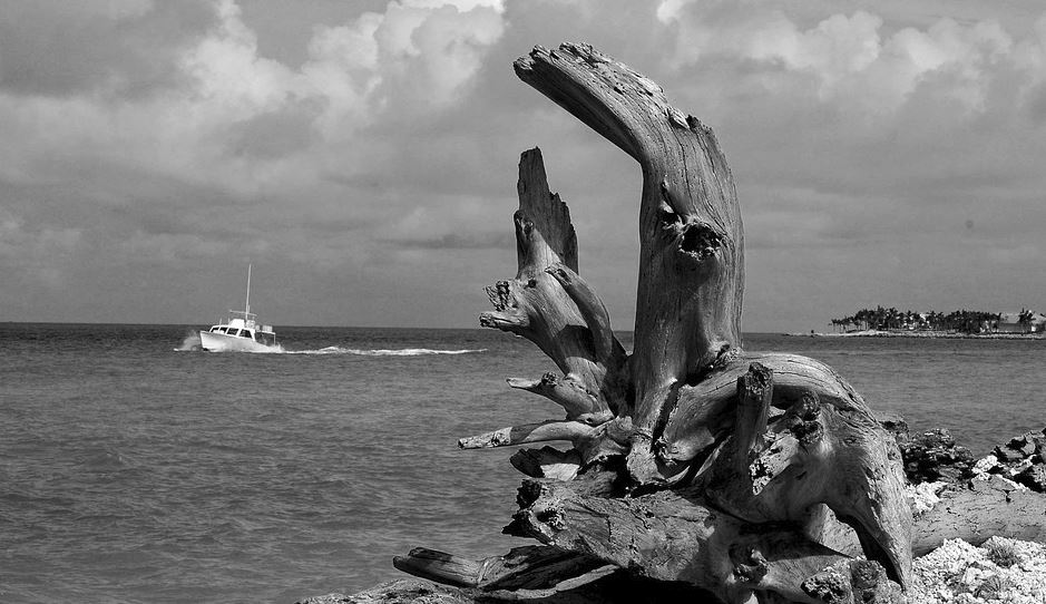 What You Need To Know About The Florida Keys History & Discovery Center ...