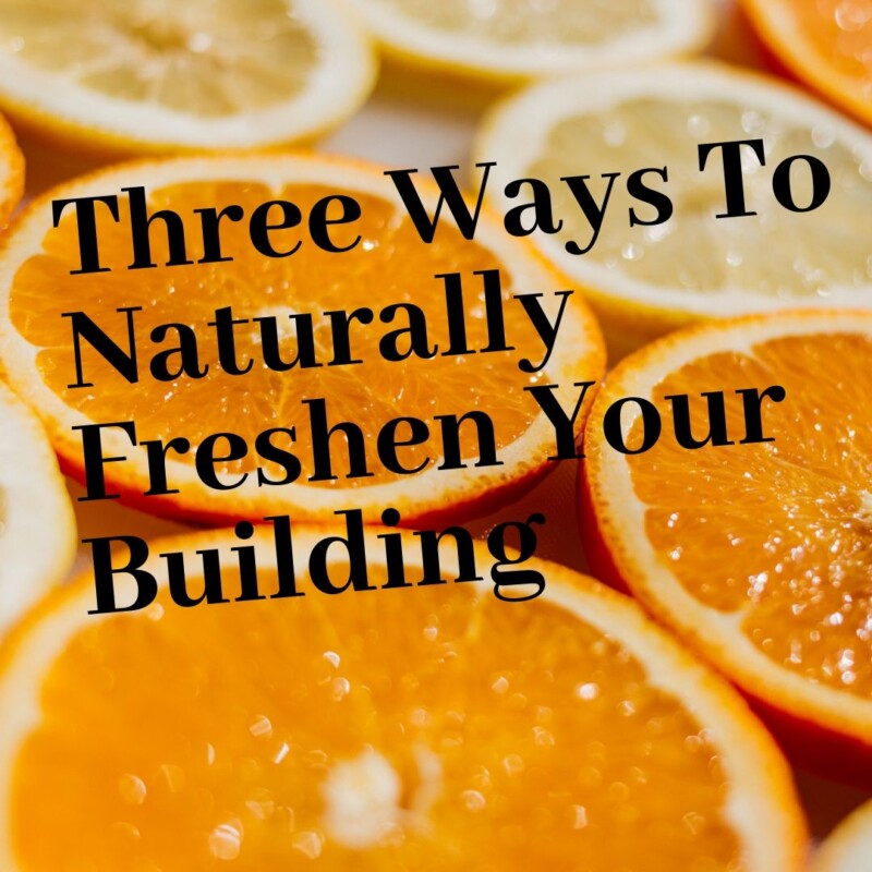 Three Ways To Naturally Freshen Your Building - Commercial Real Estate ... Three Ways To Naturally Freshen Your Building - Commercial Real Estate ...
